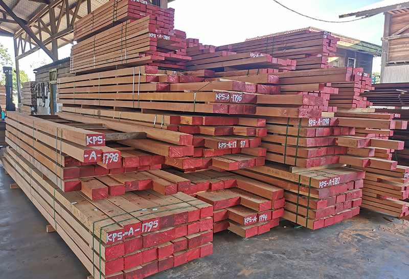 Kempas - Timber Expert